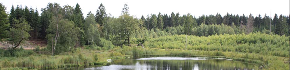 Gribskov Trop: Historien om Grib Skov